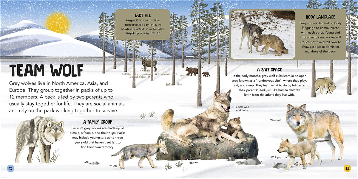 Animal Teams: How Amazing Animals Work Together in the Wild – The ...